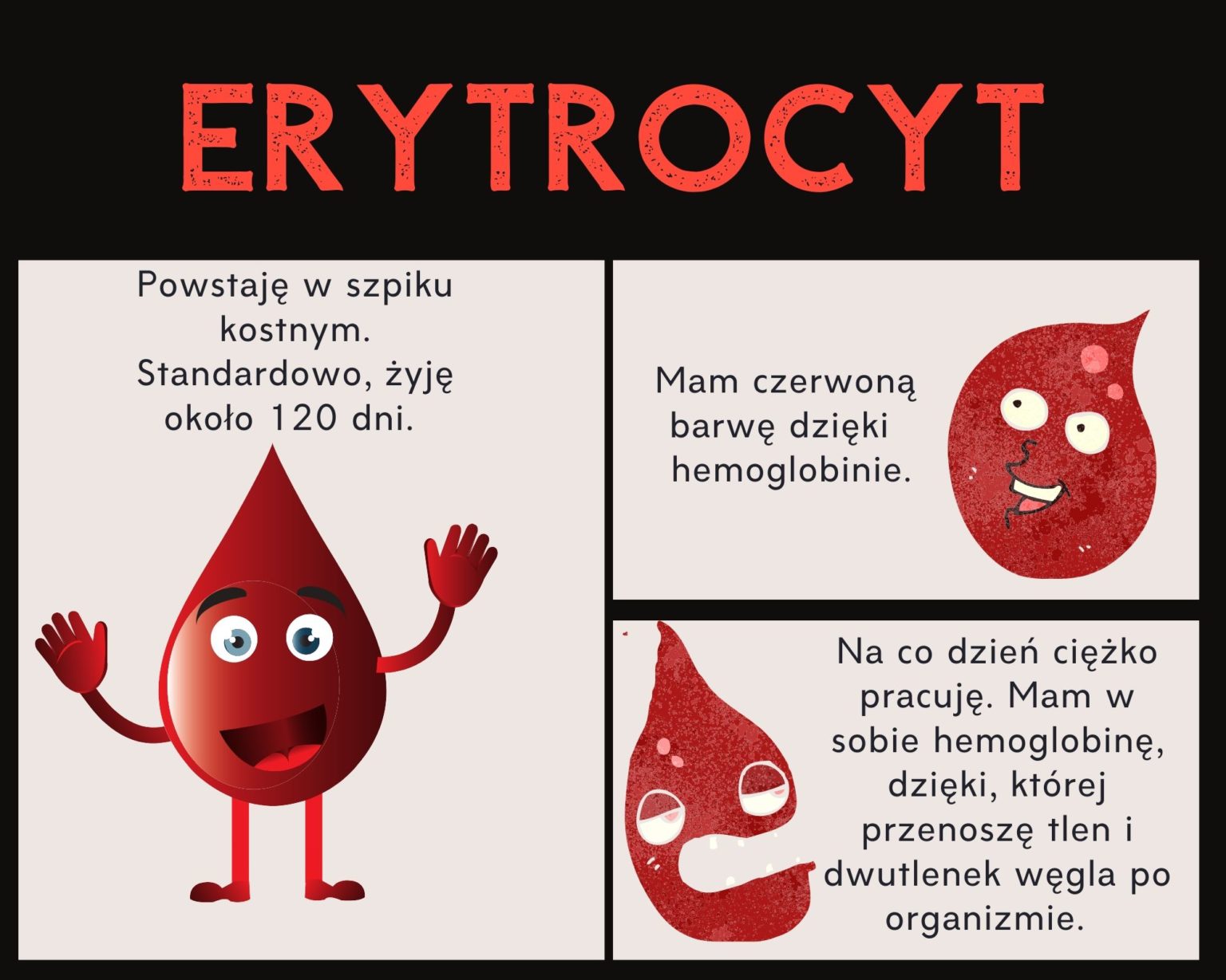 Anemia - problem, co trzeciej młodej kobiety - codlazdrowia